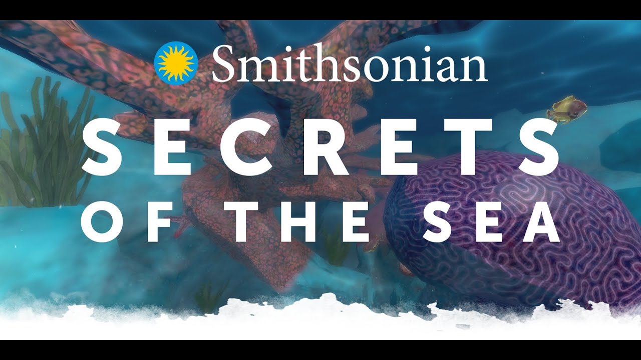 Smithsonian "Secrets of the Sea" Trailer - YouTube