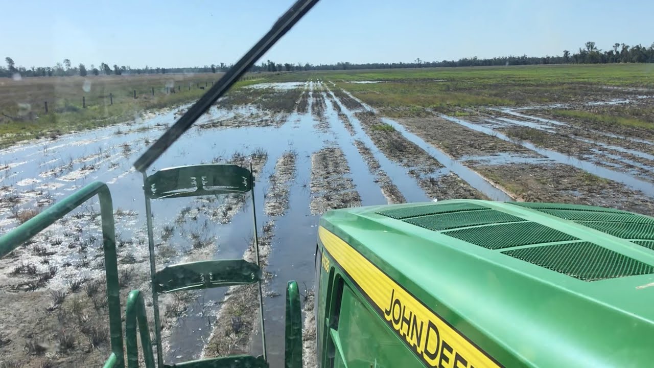 Unearthing the Truth: Subsidence in Farming from Coal Bed Methane CSG ...