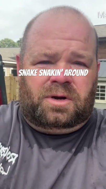 Tearing down the old building and catching snakes. #snake #kubota # ...