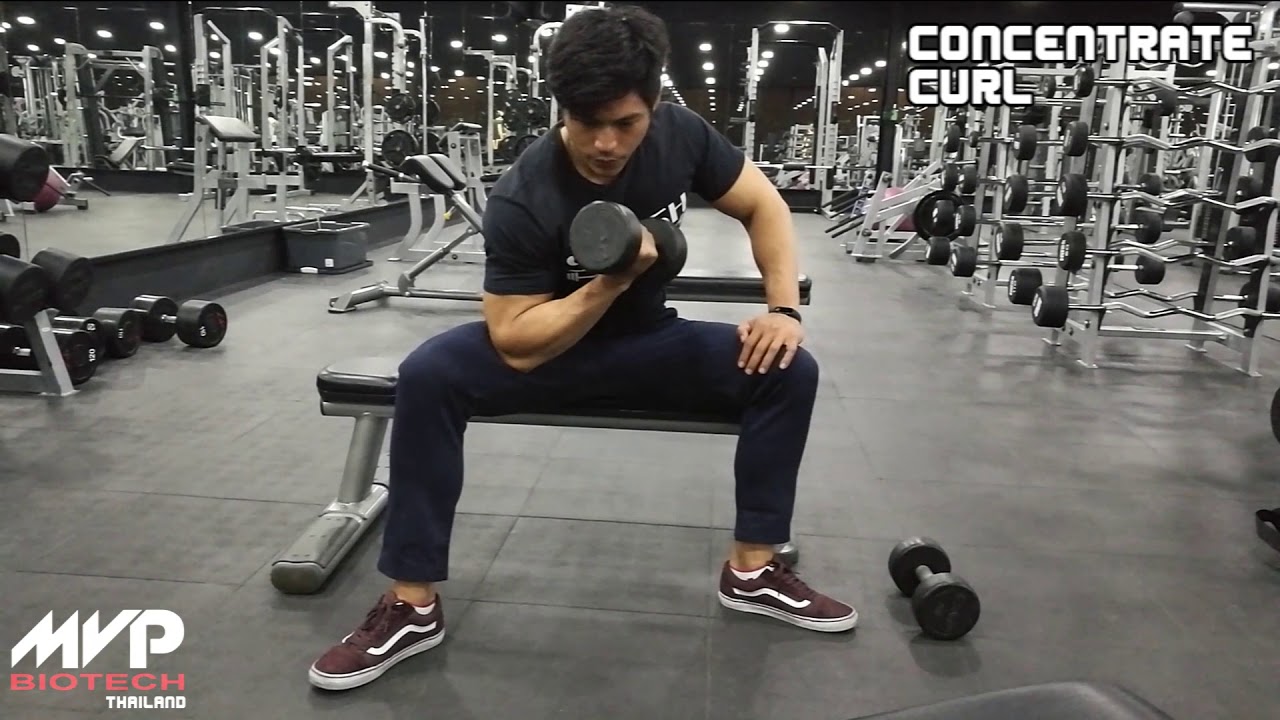 How to | Concentrate Curl - YouTube