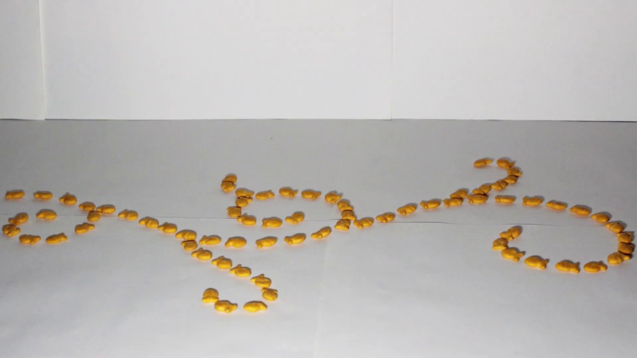 Stop Motion: Snacks are the Best - YouTube