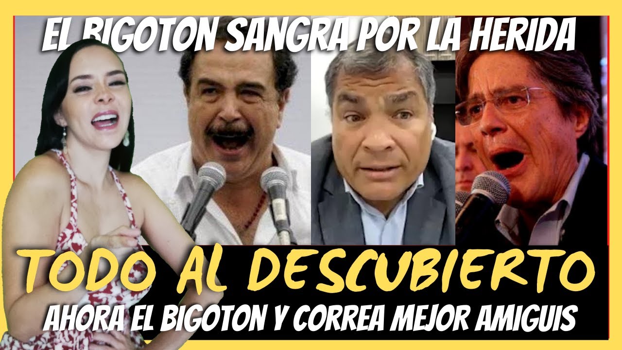 #ENVIVO EL BIGOTON SANGRA POR LA HERIDA, TODO AL DESCUBIERTO AHORA SON ...