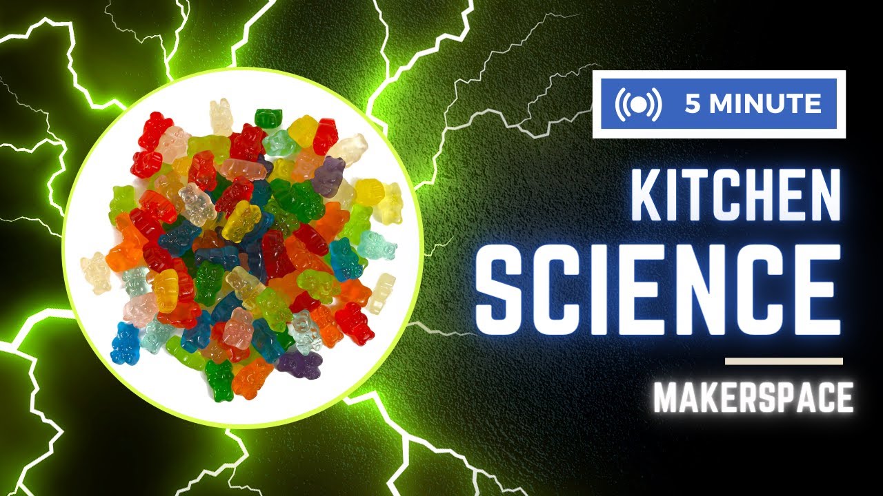 5 minute Makerspace | Kitchen Science (Gummy Bear Osmosis) - YouTube