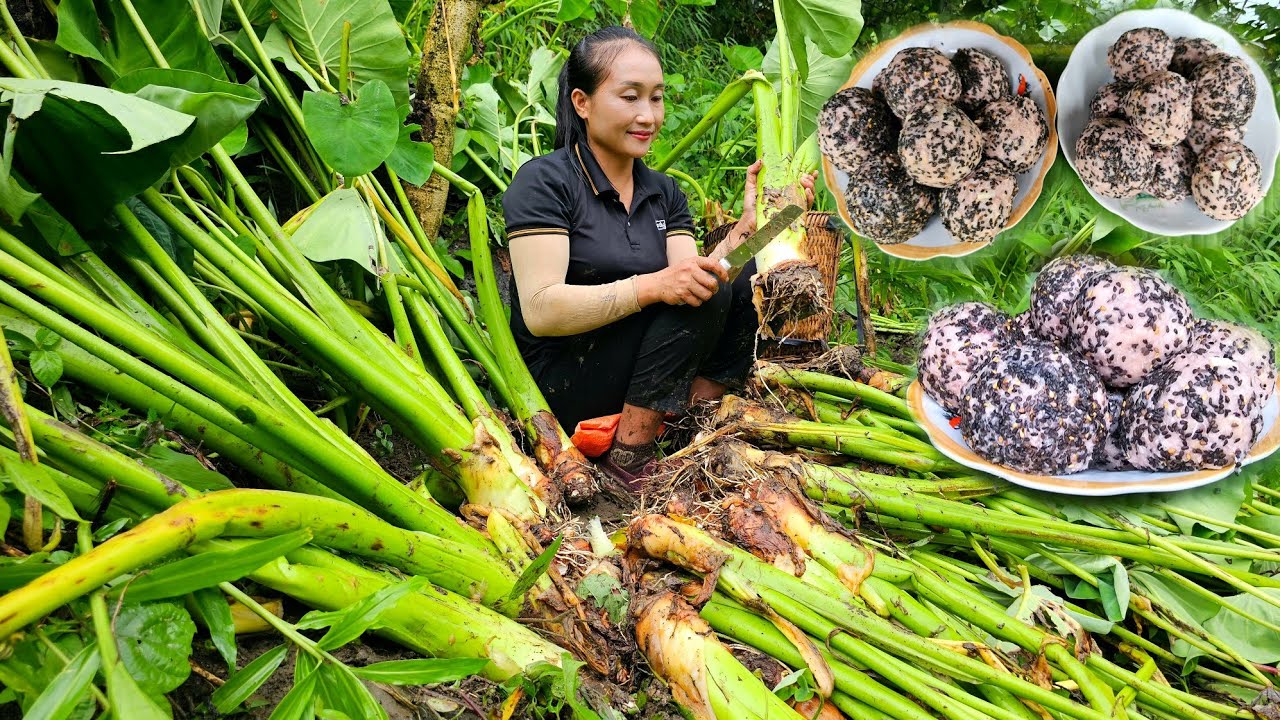 Harvesting giant taro goes to market sell - How to make traditional ...
