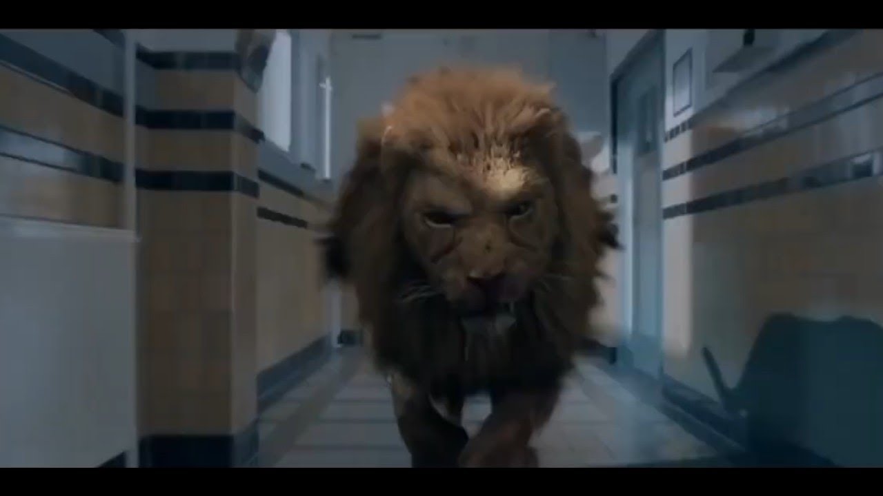 Killer Lion UNCAGED | Official Trailer. - YouTube
