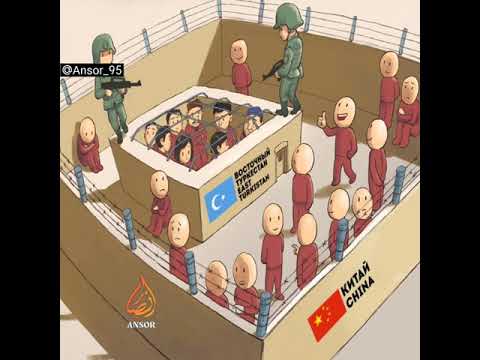 нашида туркистон