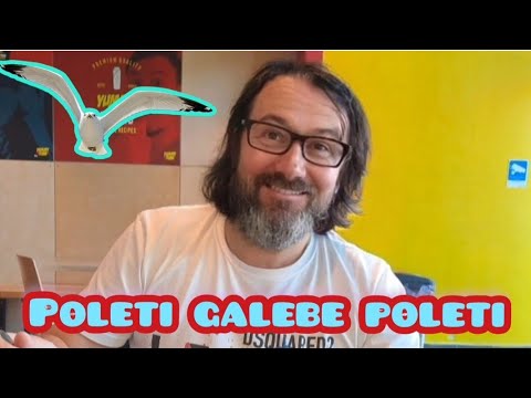 Poleti galebe poleti - YouTube