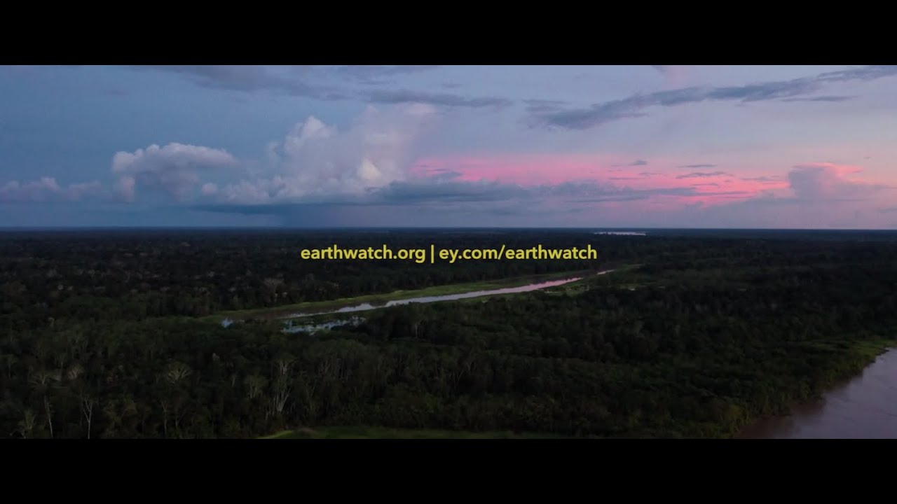 EY-Earthwatch Ambassadors | Communities and Conservation in the Amazon ...