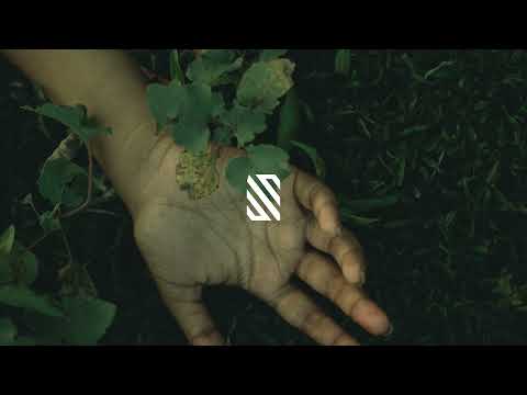 Cut Off - Escudo #escuro #cutoff  #deephouse