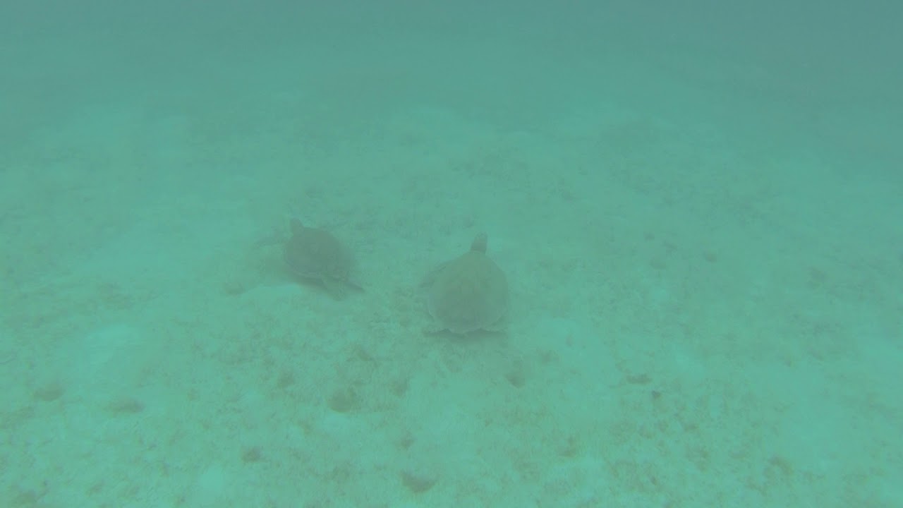 Tobago Keys SVG 2018 - YouTube