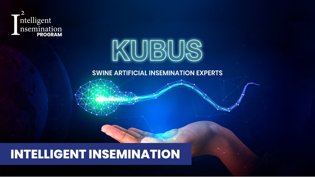 Intelligent Insemination Program - YouTube