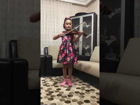 Gülpembe | Keman 🎻🎶