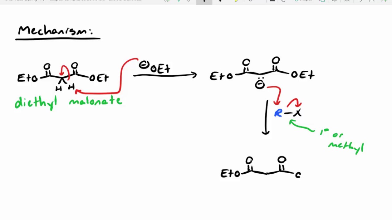 Malonic Ester and Acetoacetic Ester Synthesis - YouTube