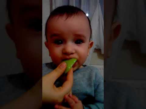 Paşa'nın ilk kivi yemesi