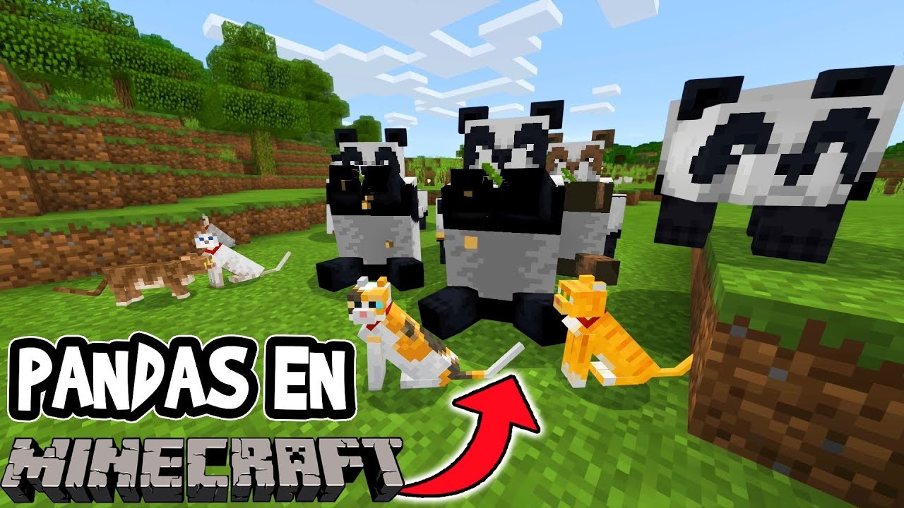 REVIEW Nueva ACTUALIZACIÓN MINECRAFT PANDAS, GATOS NUEVOS Y MÁS Xbox ...