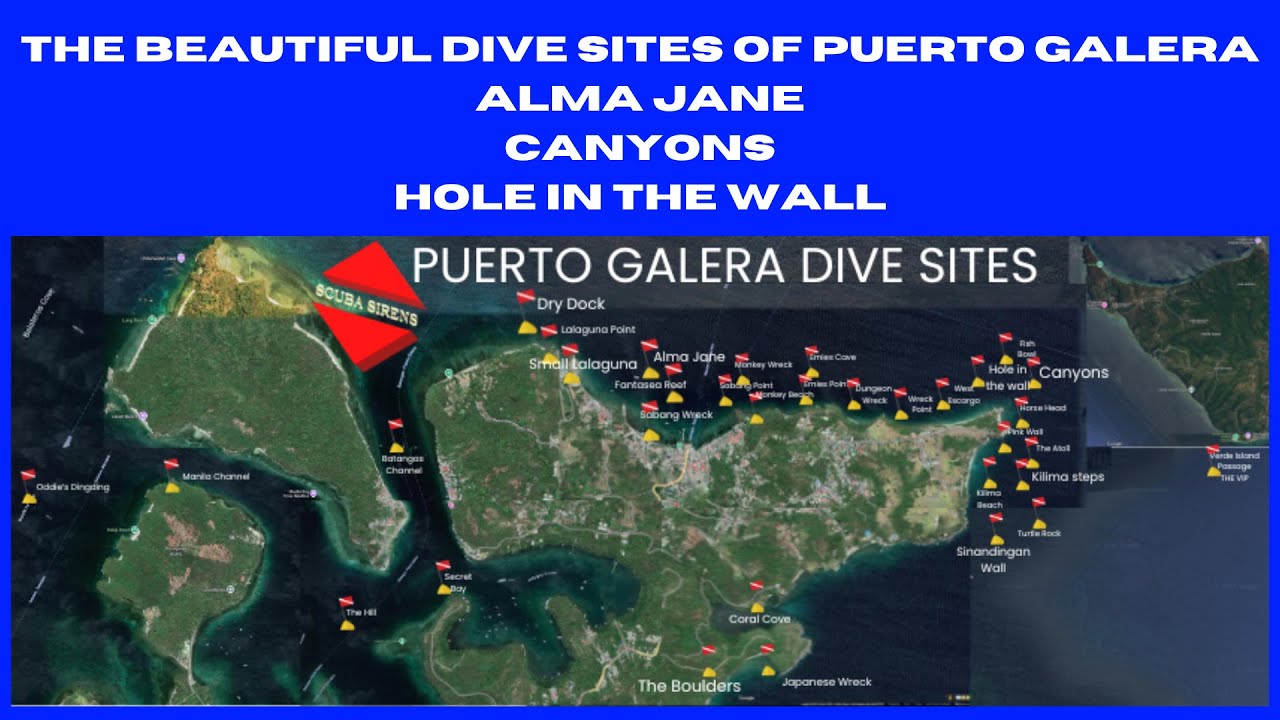 Dive into the beautiful Dive Sites of Puerto Galera - YouTube