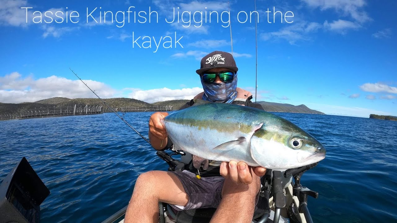 Kingfish Mayhem Tasmania (kayak Jigging) + Underwater Footage - YouTube