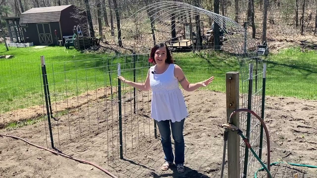 HOW TO USE CATTLE PANELS FOR GARDENING - YouTube
