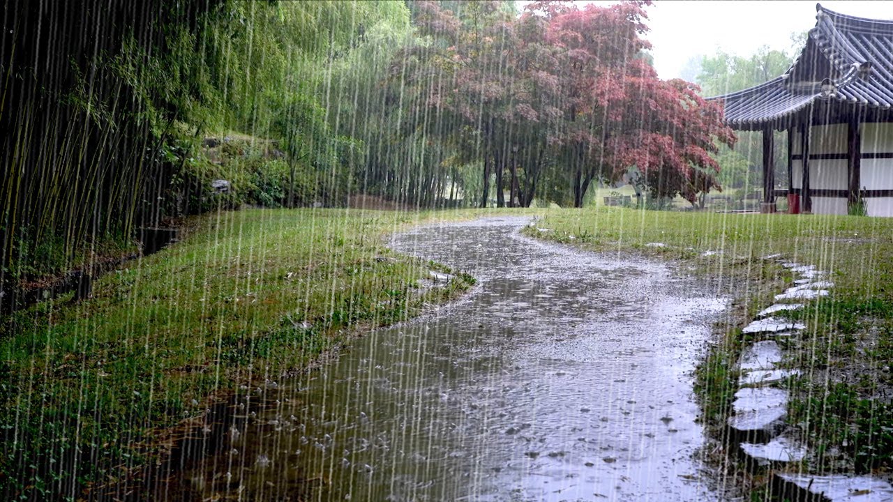 Time when you need the refreshing rain sounds - relieve stress, sleep ...