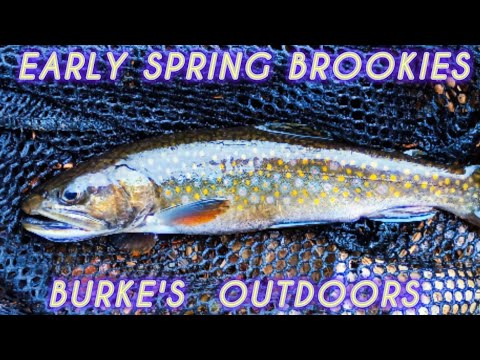 Early Spring Trout Fishing - YouTube