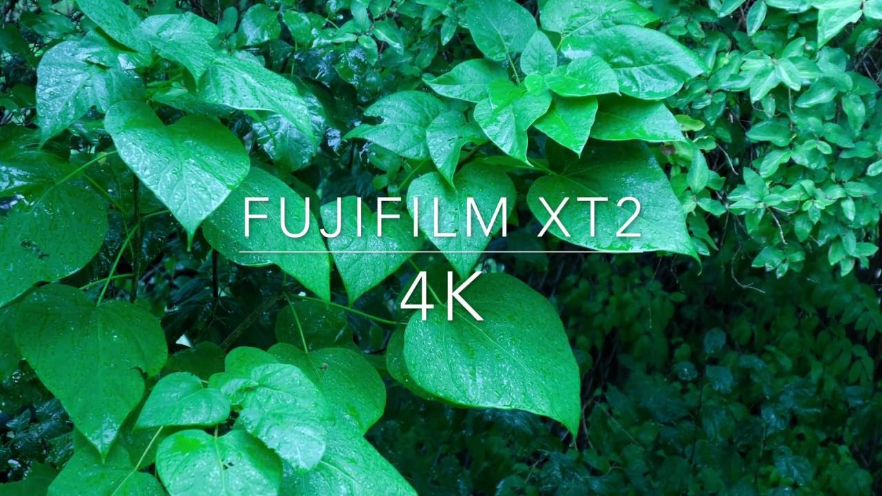 Fuji XT2 - 4K sample - YouTube
