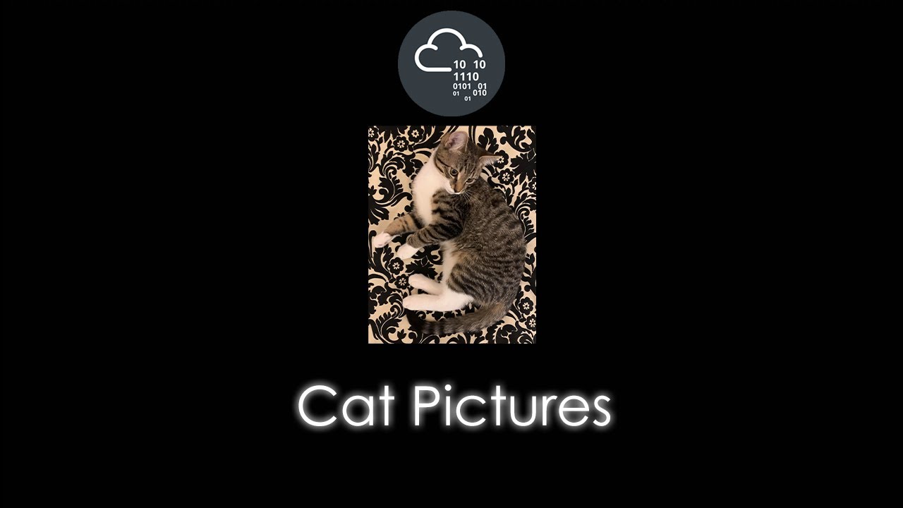 TryHackMe | Cat Pictures Room Walkthrough - YouTube