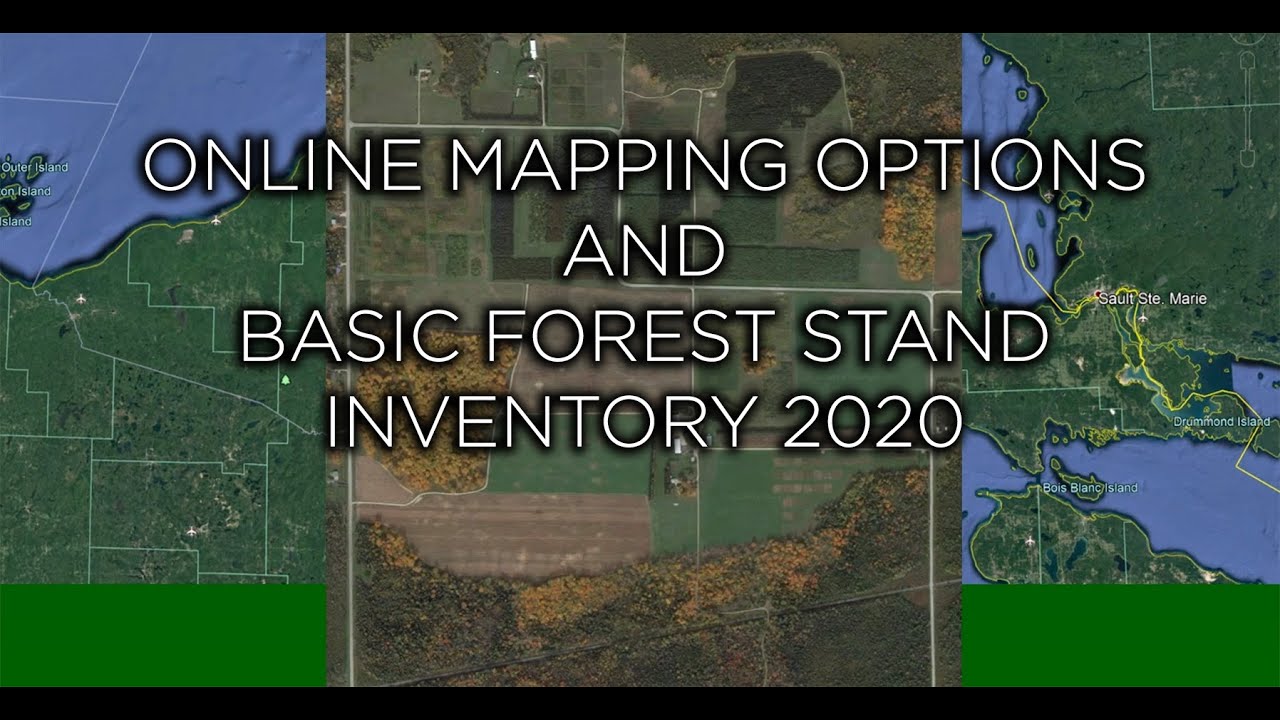 Online Mapping Options & Basic Forest Stand Inventory - YouTube