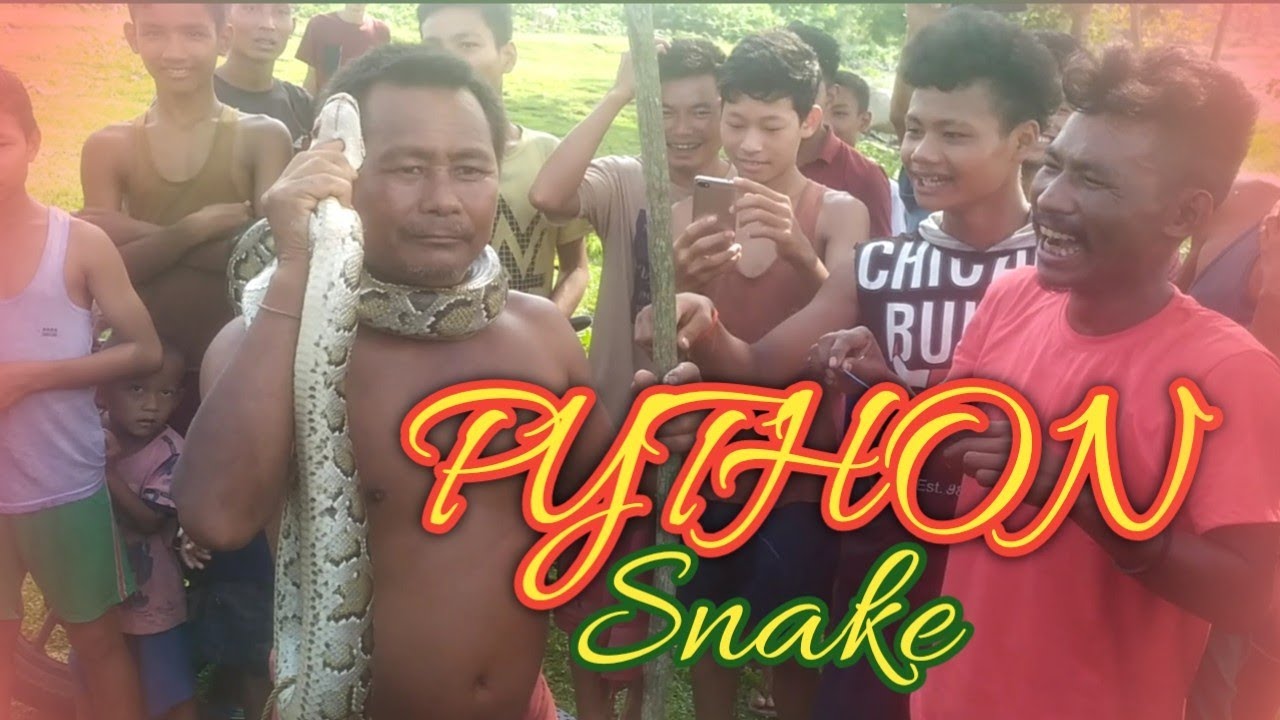 Python snake // Snake video // Bodo short movie // Prafulla Narzary - YouTube