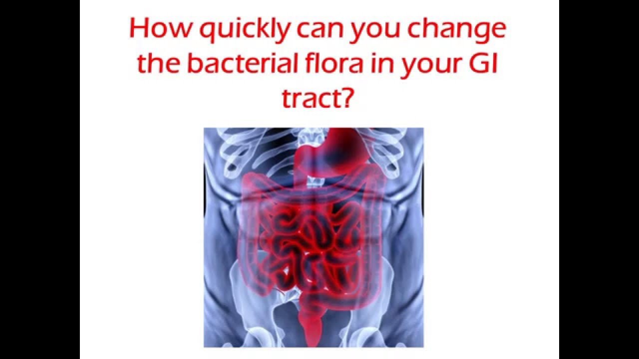 How quickly can you can change the bacterial flora in your GI tract ...
