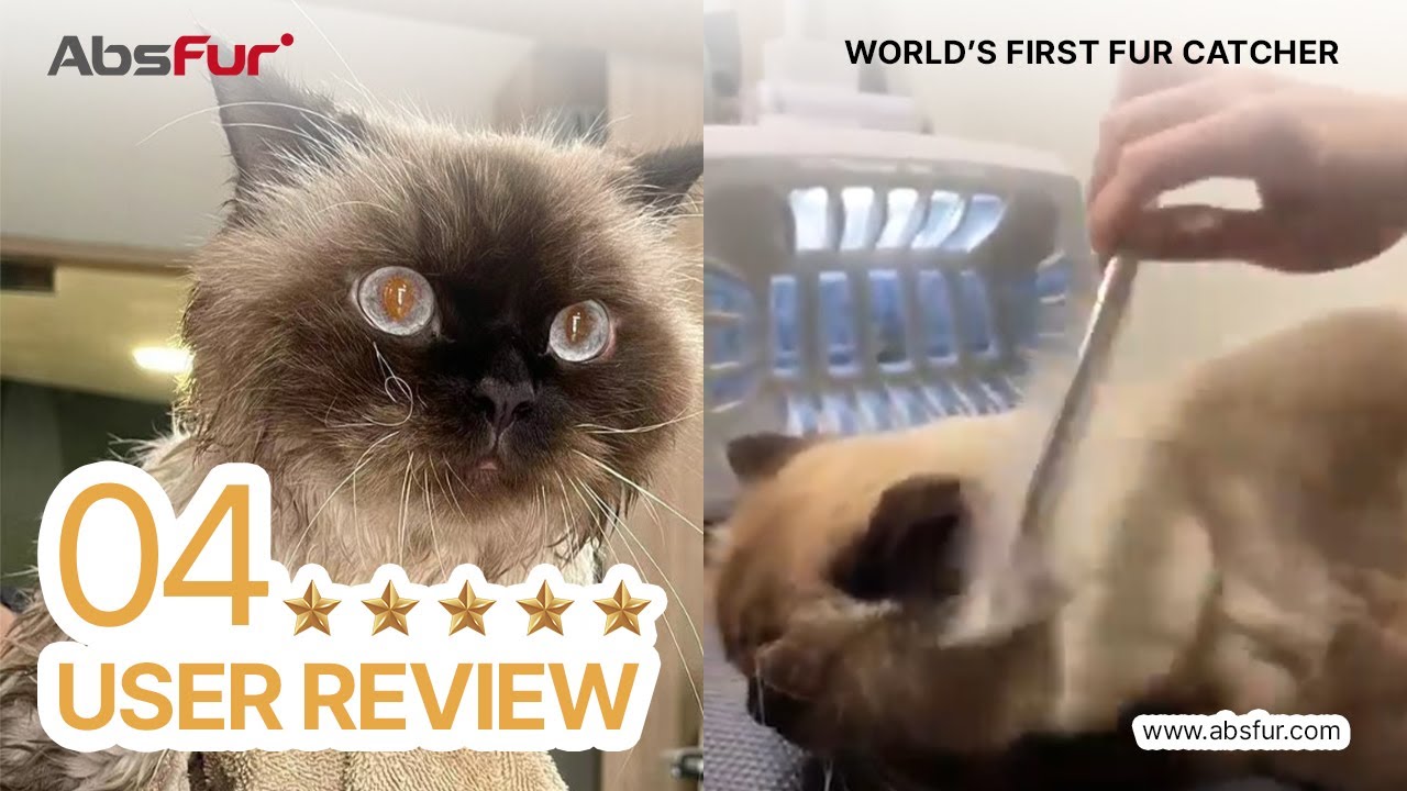 [ 04 User Review ] AbsFur - World's First Fur Catcher - YouTube