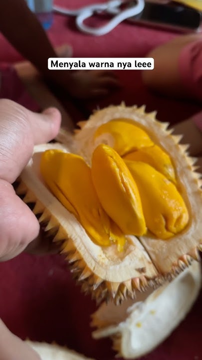 Buah lai khas kalimantan enak banget - YouTube
