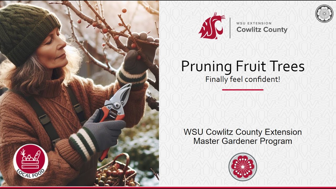 Fruit tree pruning workshop - YouTube