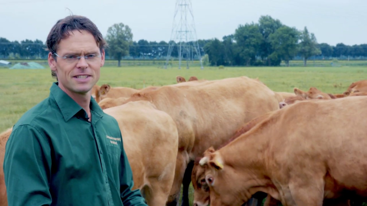 Boeren voor biodiversiteit: kruidenrijk grasland - YouTube