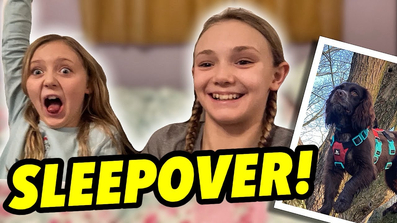 Sleepover at Grandparents and Tree Climbing Dogs! - YouTube