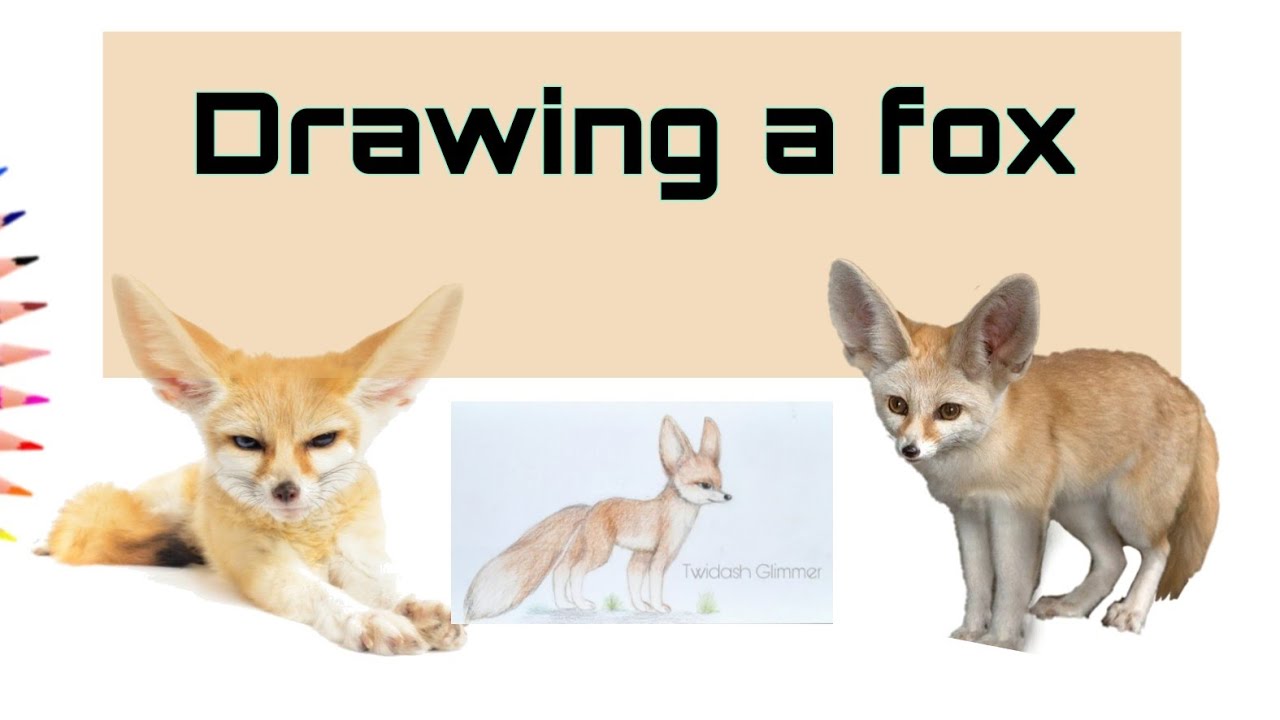 How to draw a fox/Como desenhar uma raposa- #drawingfox #draw #dibujos ...
