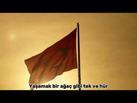 NAZIM HİKMET RAN / DAVET