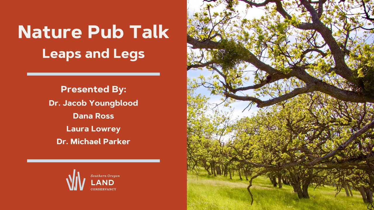 Nature Pub Talk Teaser: Leaps and Legs - YouTube