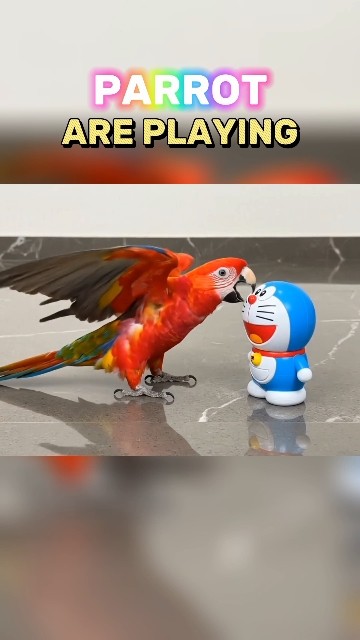 Parrot Are Playing Doraemon Toy #shorts #animal #pets #ai - YouTube