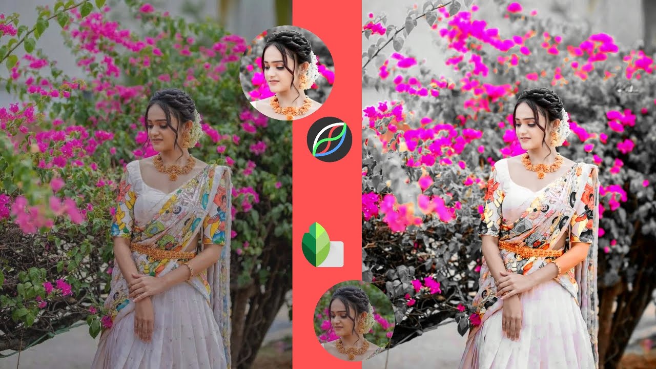 photo curves app | best one click photo editing app - YouTube