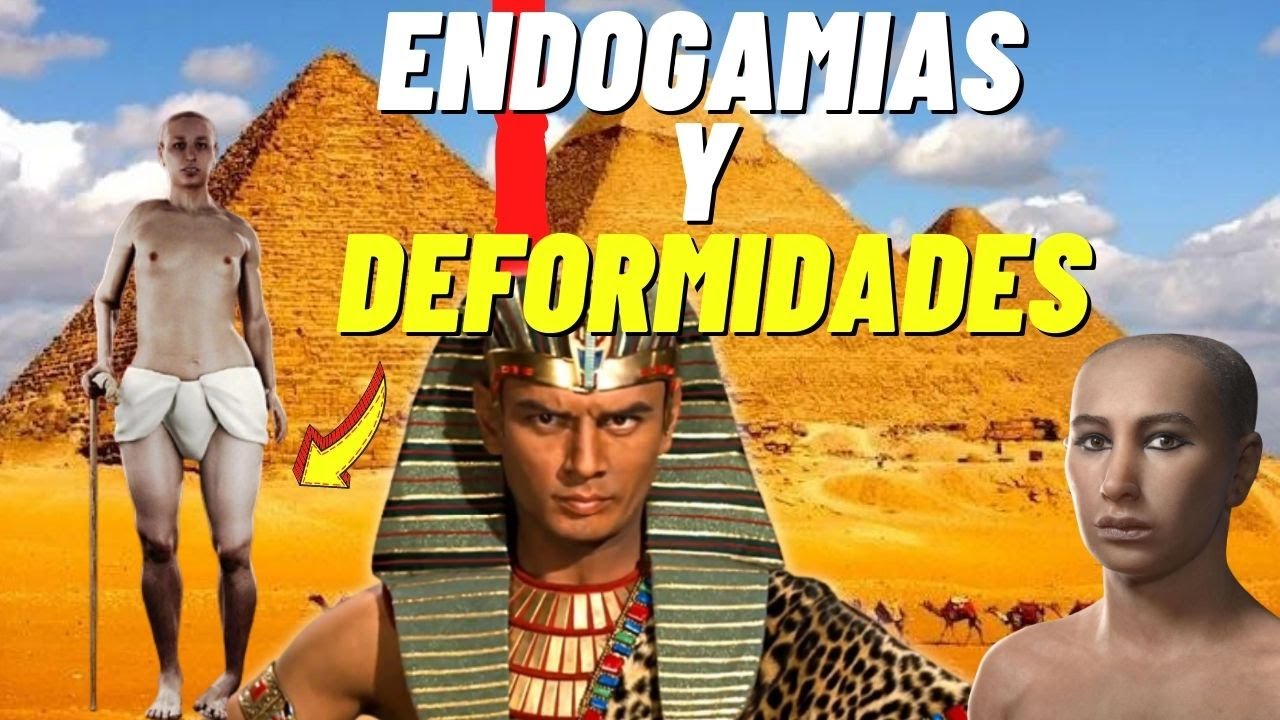 La IMPACTANTE Vida de la Realeza Egipcia: ENDOGAMIA y TRAICIÓN - YouTube