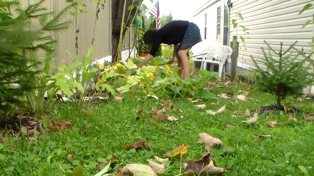 More yard work Part 4 9/1/2013 - YouTube
