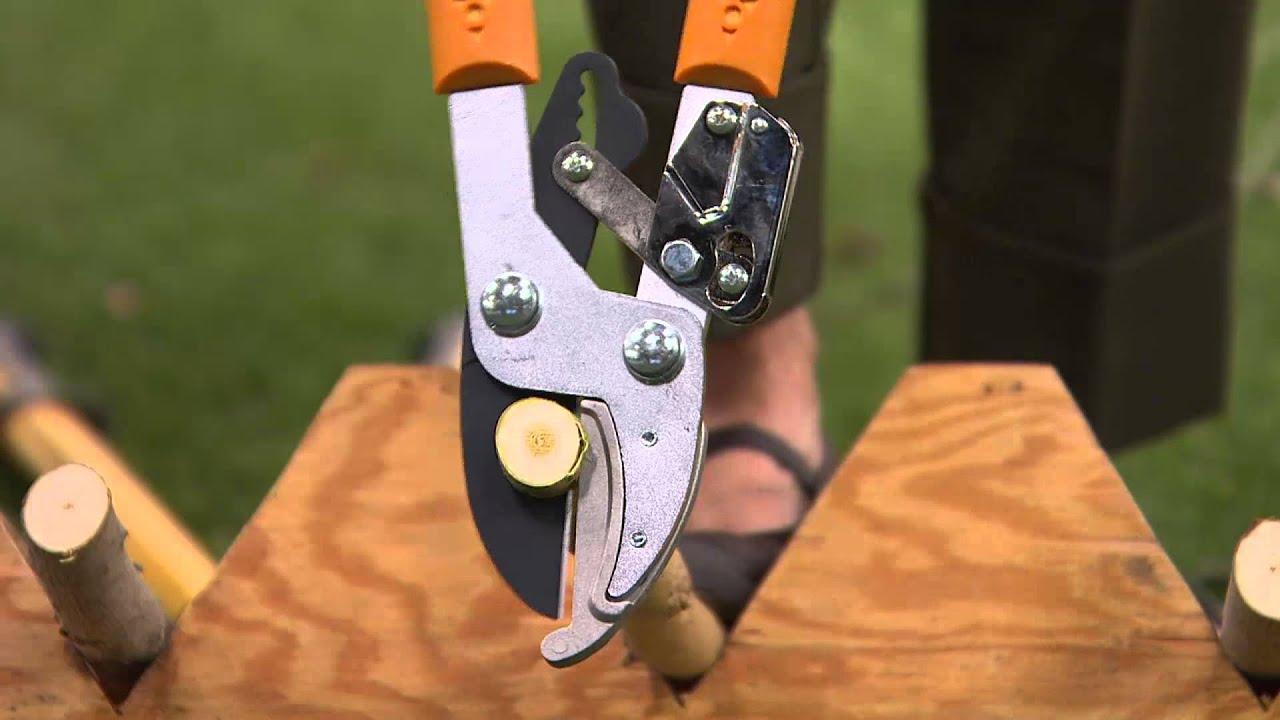 Large & Small Pruning Shears Set with Ratcheting Action with Nancy ...