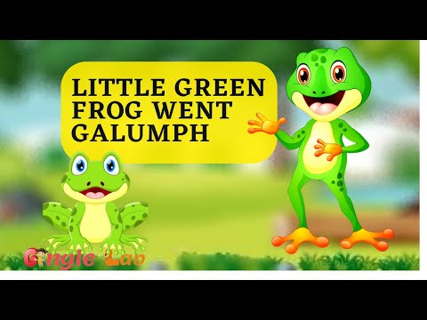 Watch What Happens When A Little Green Frog Goes "Galumph"! #littlefrog ...