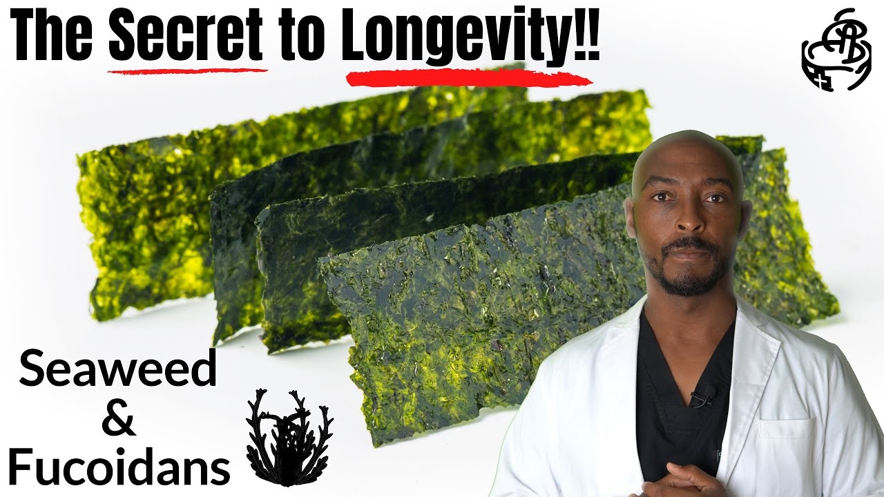 Seaweed & Fucoidans: The Secret to Longevity, add 10 years to your life ...