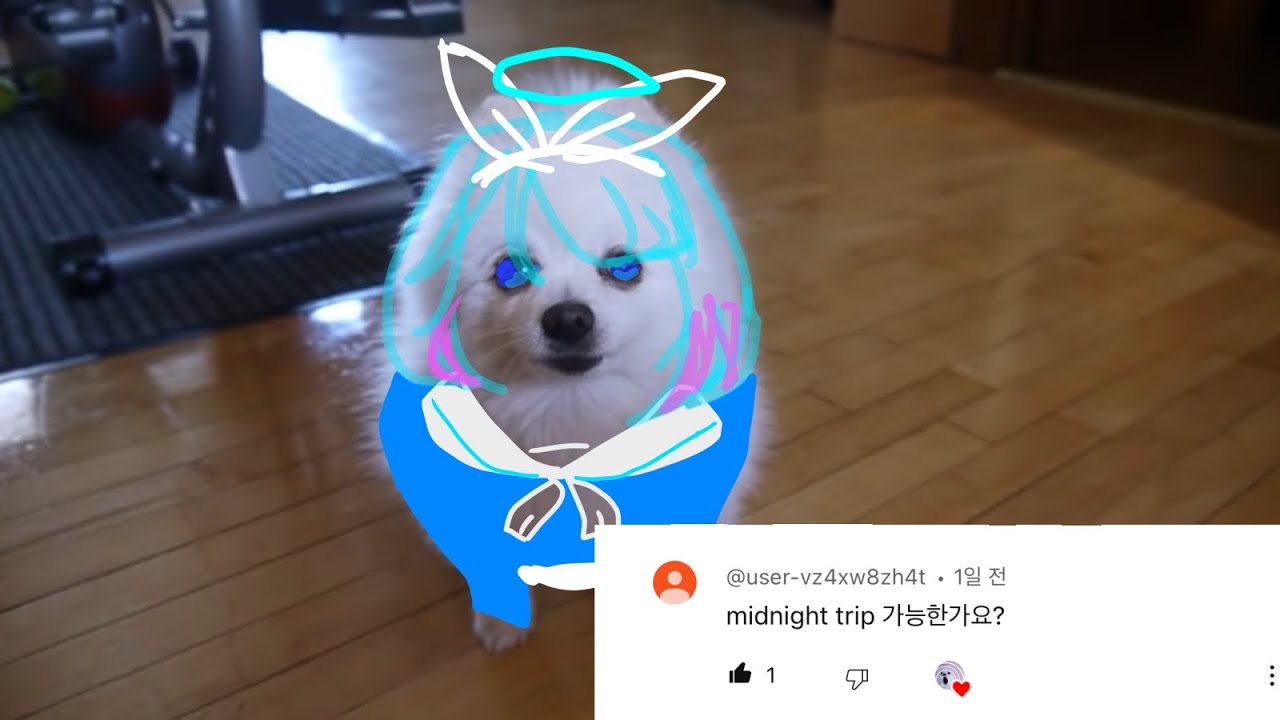 [블루 아카이브]Nor-midnight trip/강아지 리믹스 - YouTube