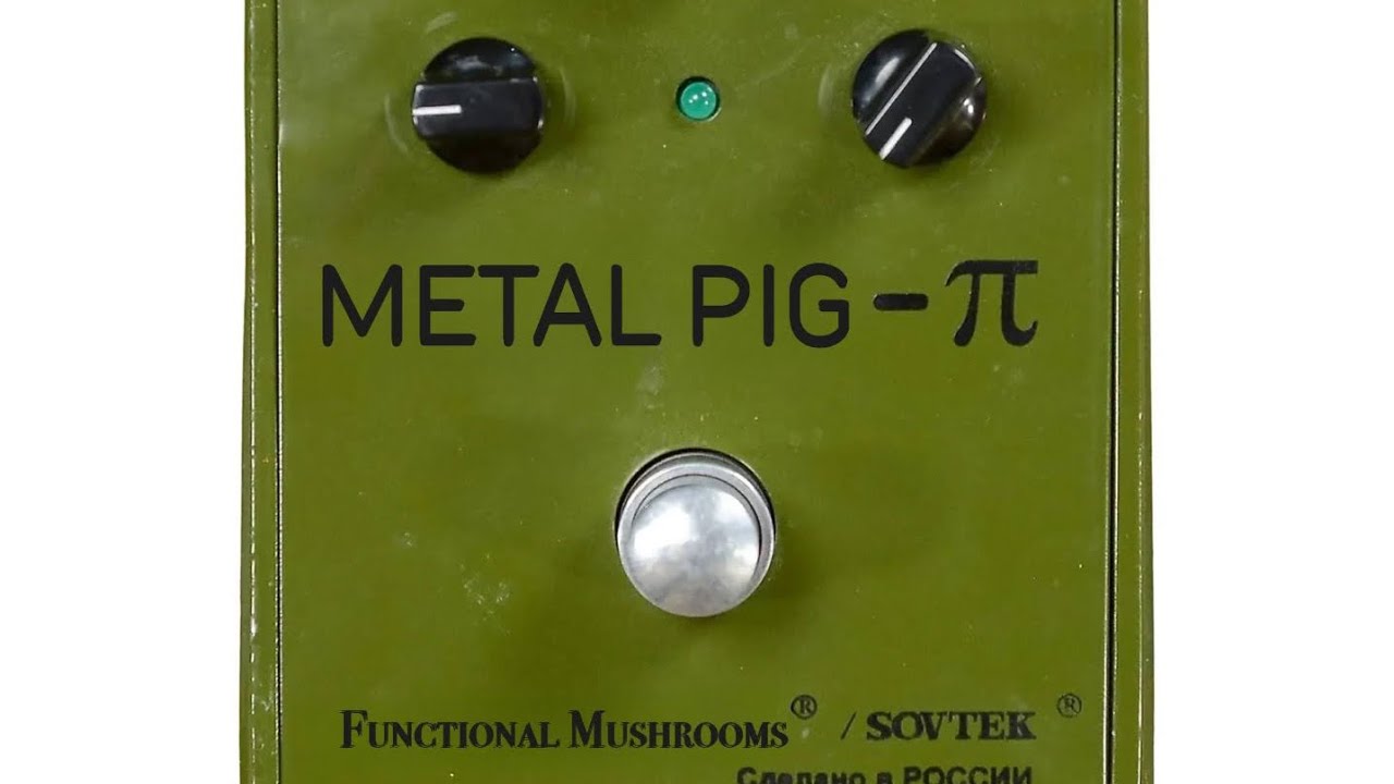 Functional Mushrooms - Metal Pig (2024) - YouTube