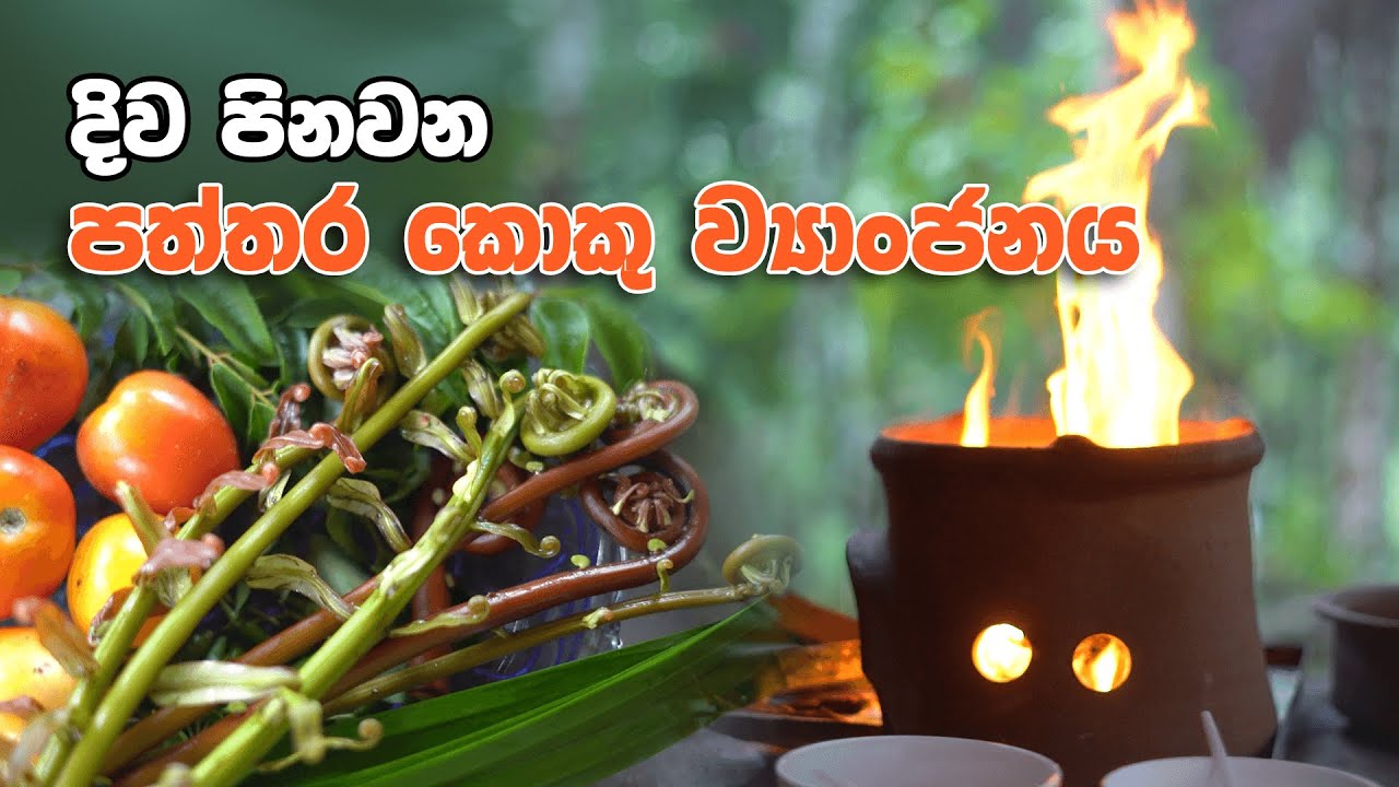 දිව පිනවන පත්තර කොකු ව්‍යාංජනය I Paththara Koku Recipe - YouTube