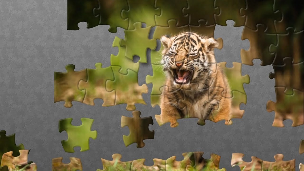 tiger cub puzzle - YouTube