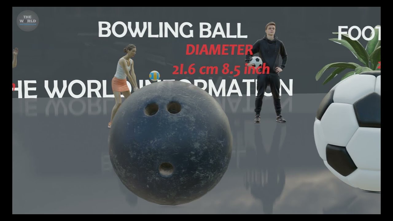 Balls Size Comparison Sport balls size comparison in 3D 4K Video - YouTube