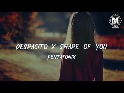 Pentatonix - Despacito x Shape Of You [lyric]